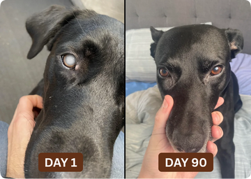 Optikind Vision Drops